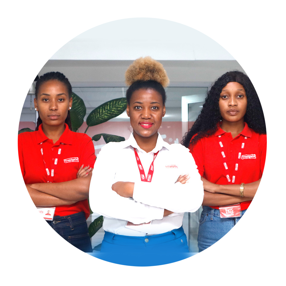 Tropigalia | TropiTeam